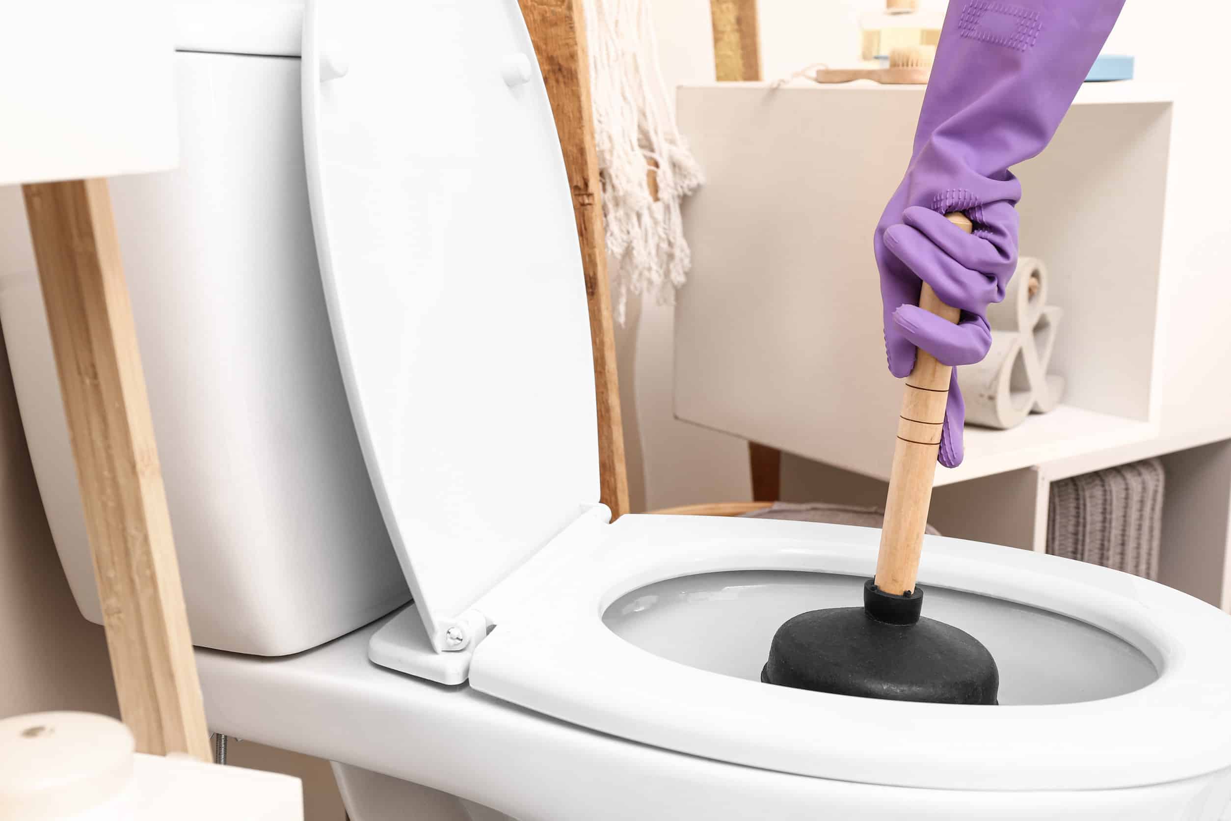 How To Unclog a Toilet When Nothing Works - Rate My Toilet How To Unclog a Toilet When Nothing Works - Rate My Toilet