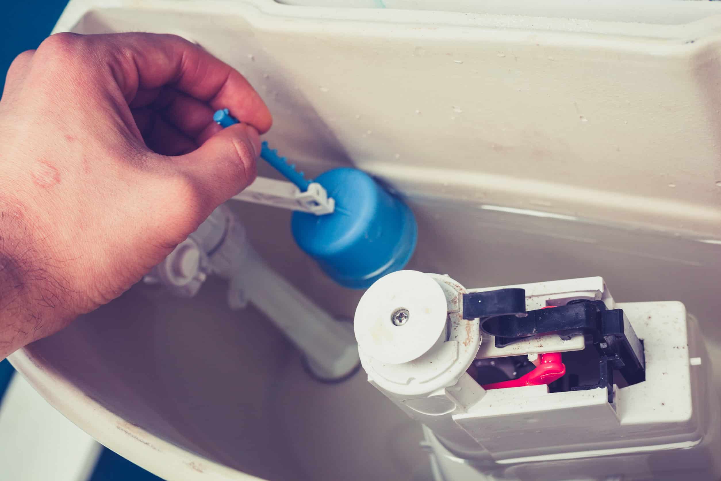 How to Adjust Toilet Float? - Rate My Toilet How to Adjust Toilet Float? - Rate My Toilet